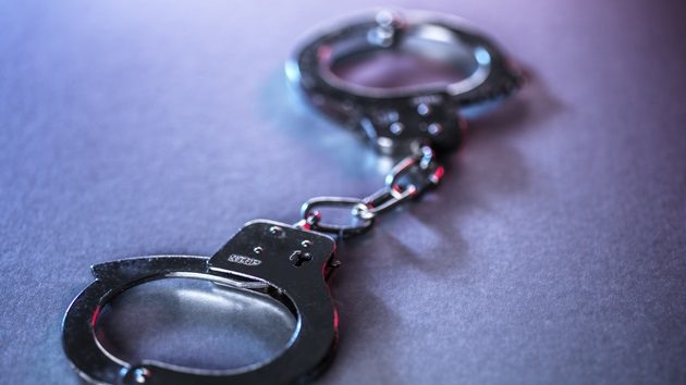 Suspect charged after 3-year-old boy wound up in crocodile enclosure ...