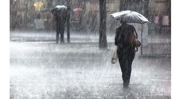 Thursday's heavy rains break 1924 record; 2.4″ recorded at KTLO | KTLO