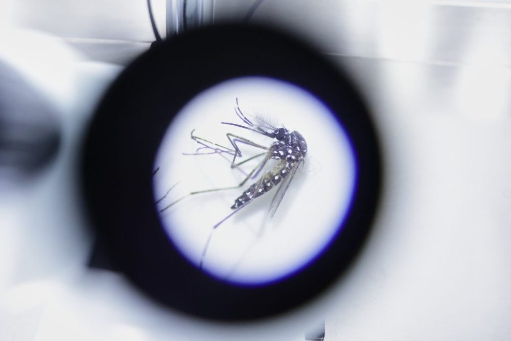 Google Wants To Release Mosquitoes | Freddy Rivera | | KOLA 99.9