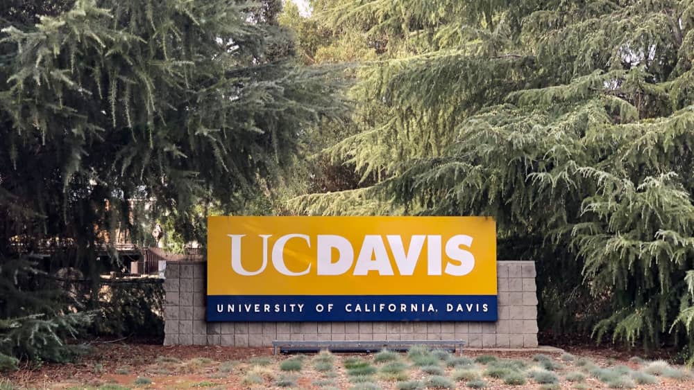 UC Davis stabbing suspect arrested on 2 counts of murder, 1 count of ...