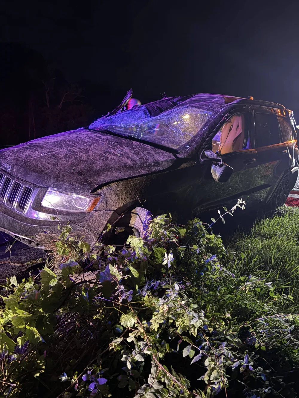 Chikaming Township crash leaves Flint man in critical condition | News ...
