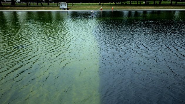 US Park Police seek to ID person in Reflecting Pool vandalism ...