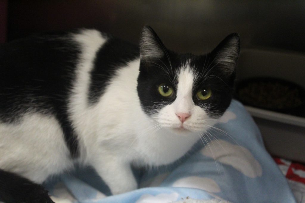 Velma – Furry Friday 12.29.23 | WBTI