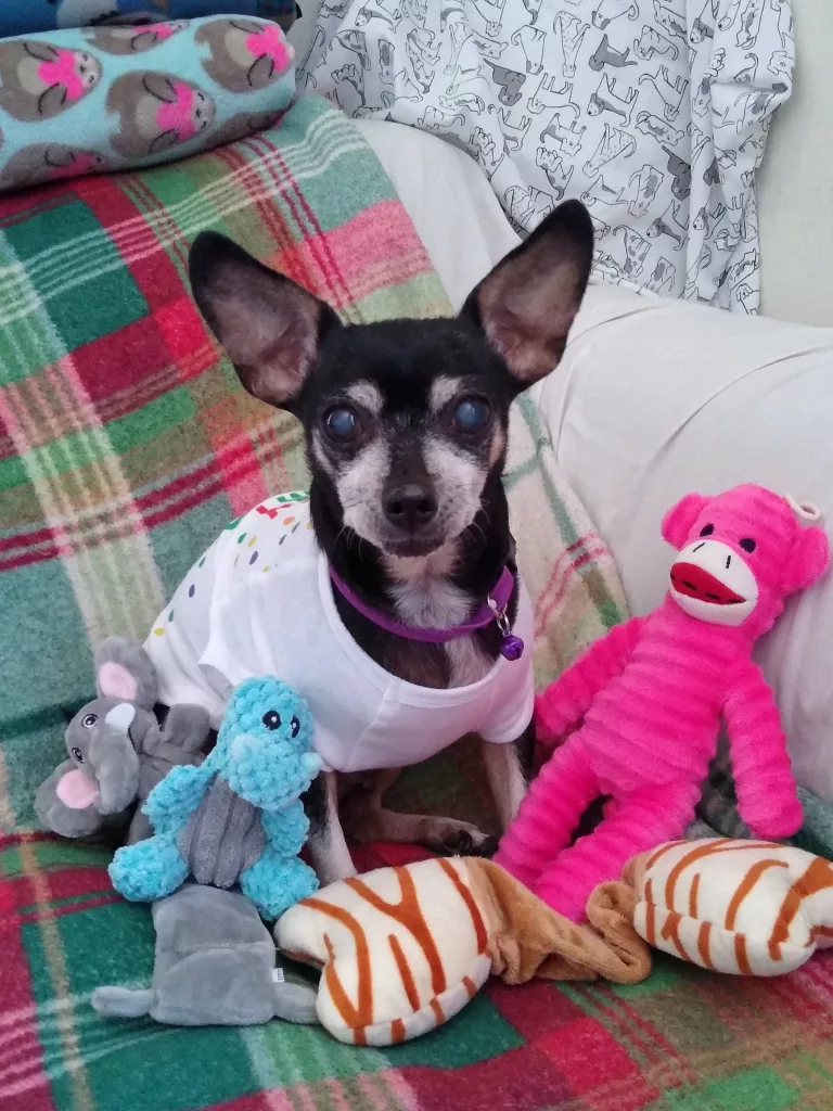 Timmi Hall – Fan Club 03.21.24 | WBTI