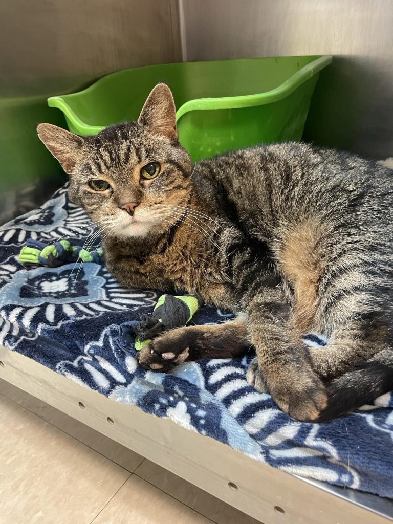 Bertha – Furry Friday 1.31.25 | WBTI