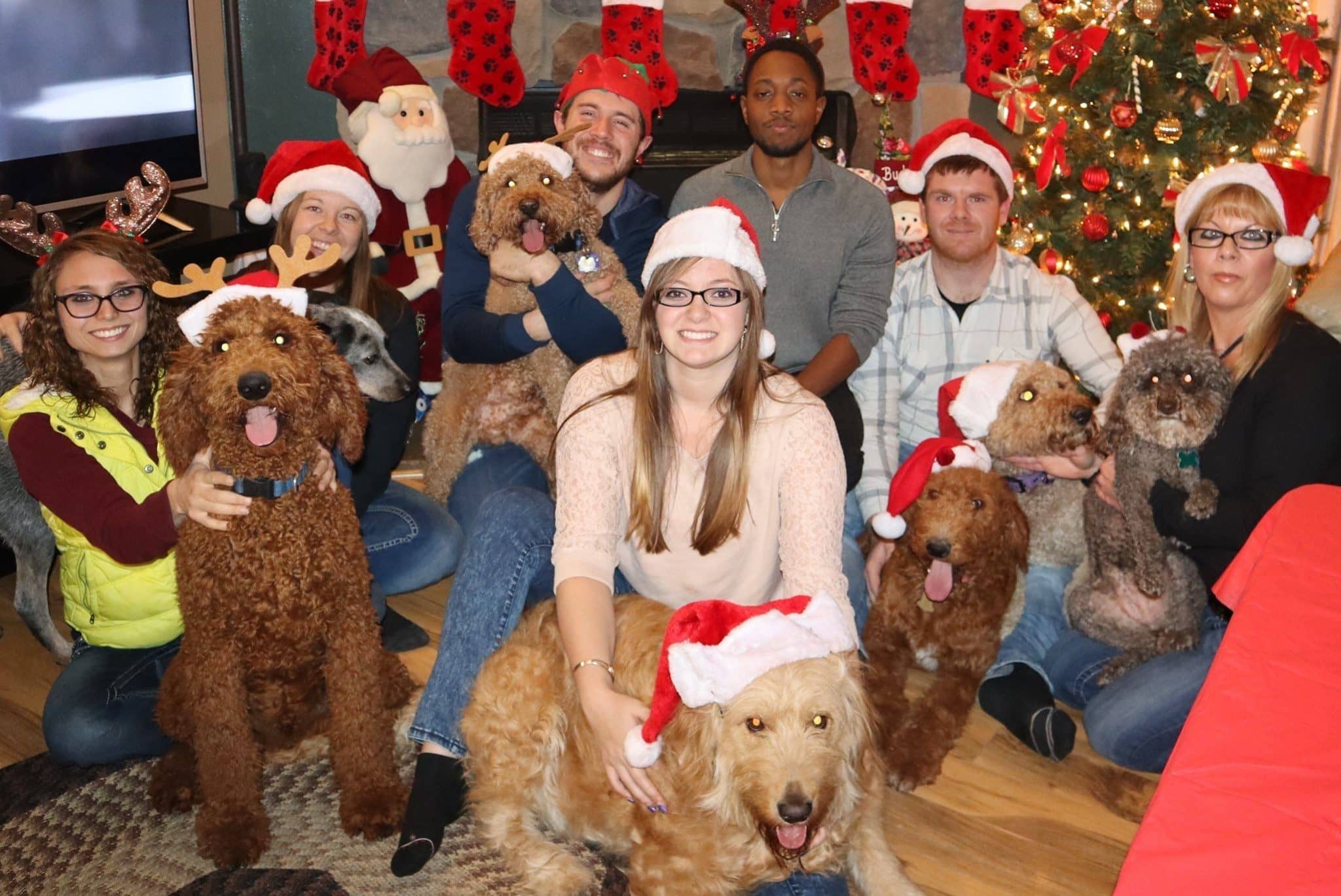 the-doodle-pack-kristie-farkas | WBTI