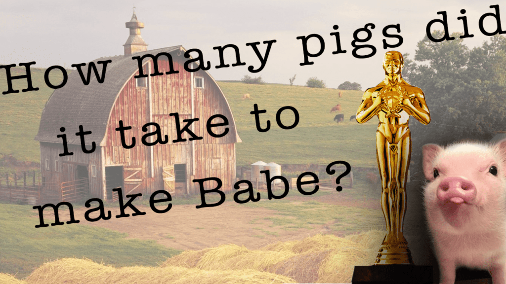 How Many Pigs Does It Take To Make A Award Winning Movie 680 KFEQ how-many-pigs-does-it-take-to-make-a-award-winning-movie-680-kfeq