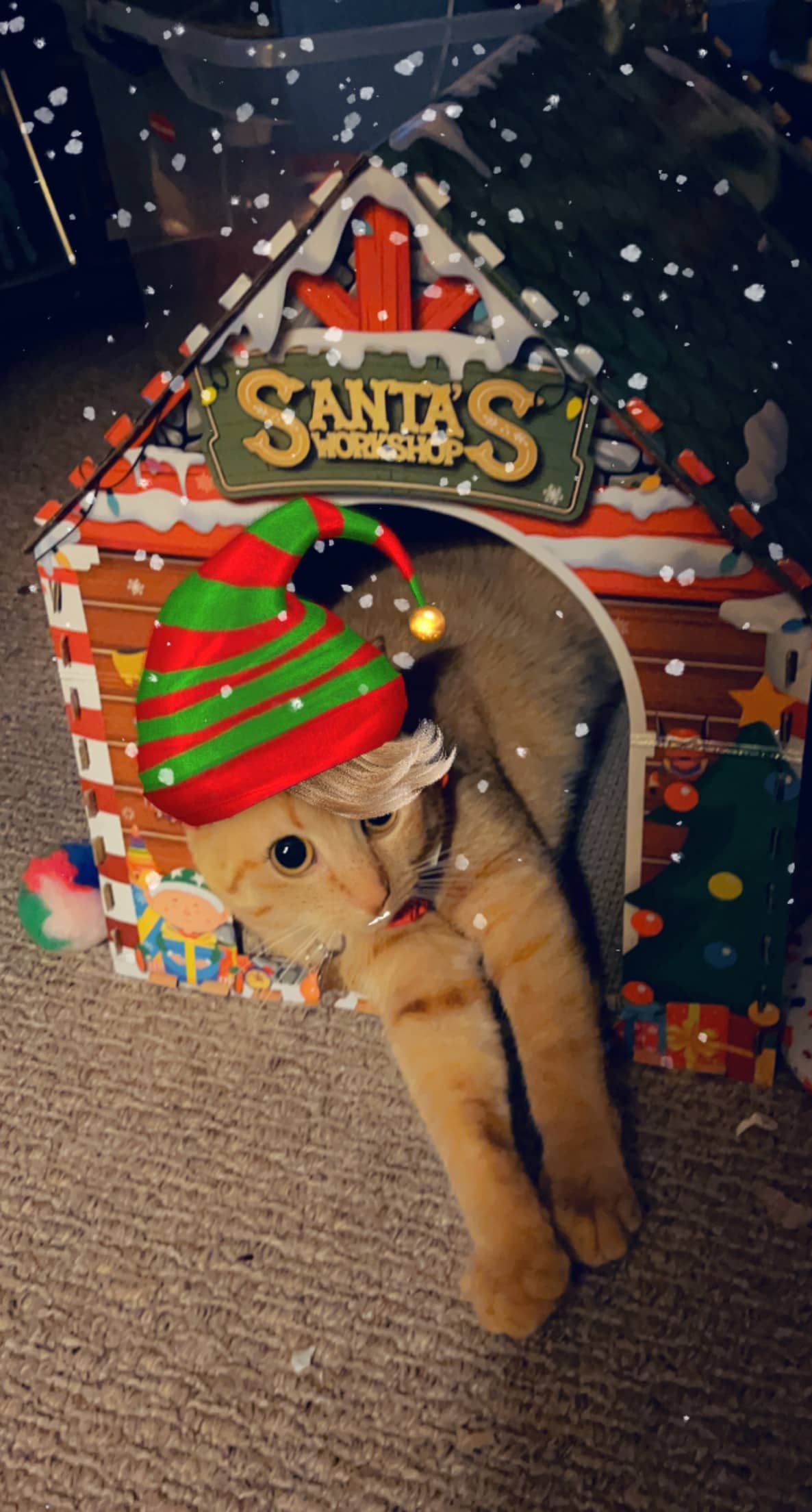 Mel Olsen – Selfie Superstar 12.9.21 | WSAQ