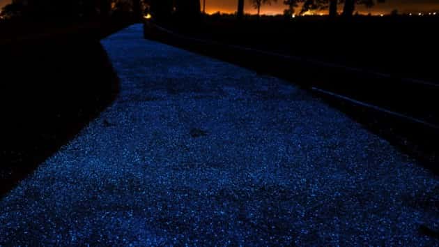 Glow-in-the-Dark Bicycle Path Unveiled in Rural Polish Town to Curb ...