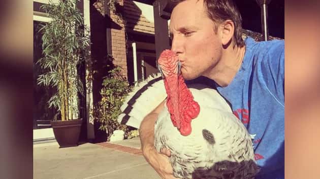 This rescue turkey is living his best life | MyCentralOregon.com ...