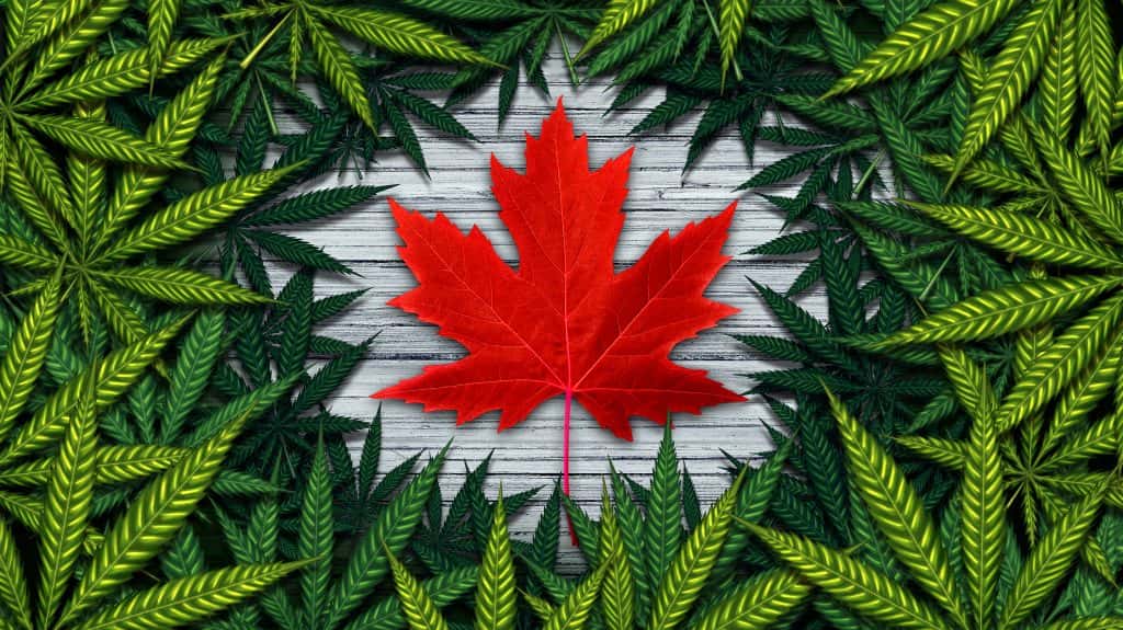 Canada Moves To Expedite Pardons For Minor Marijuana Convictions MyCentralOregon canada-moves-to-expedite-pardons-for-minor-marijuana-convictions-mycentraloregon