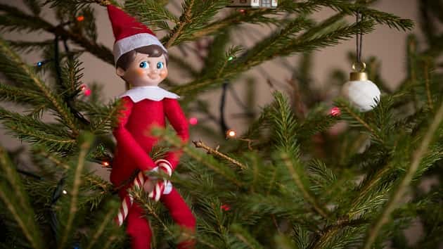 Girl with cochlear implants gets classroom elf just like her ...