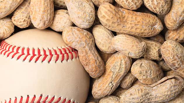 Minor league baseball team becomes first to ban peanuts ...