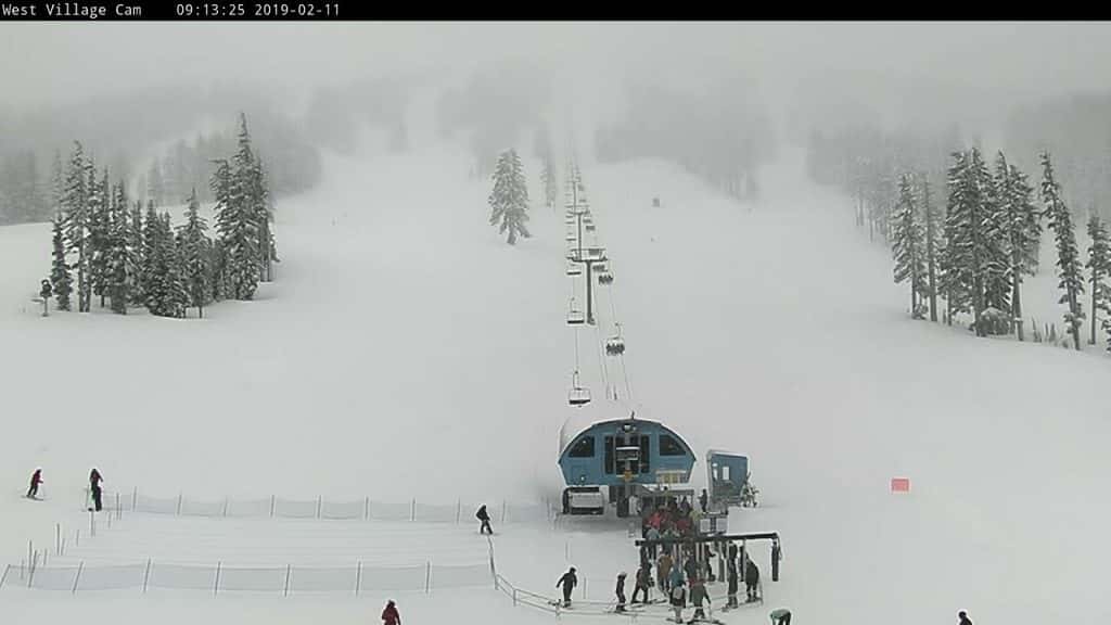 Mt. Bachelor Concerned About Tree Well & Snow Immersion Hazards ...