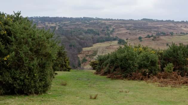 Diamond Lake and North Umpqua Districts Closed Due to Multiple Active ...