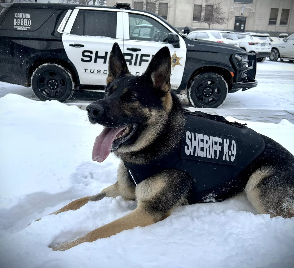 Tuscola County K9 Belo Receives New Body Armor Vest From National Non