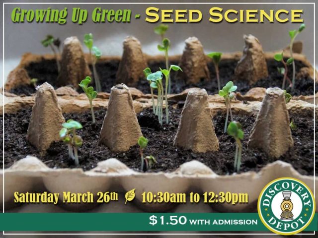 Growing Up Green: Seed Science at Discovery Depot | Country 94.9 FM 95