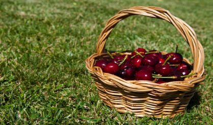 MSU Extension: fruit crop still looking good | WIRX Superstation