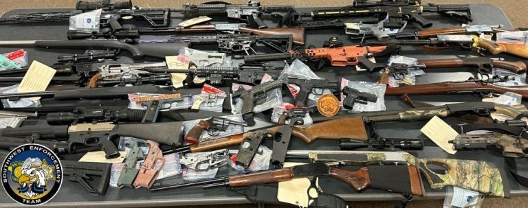 Illegal drugs and 31 firearms seized from Berrien County residence ...