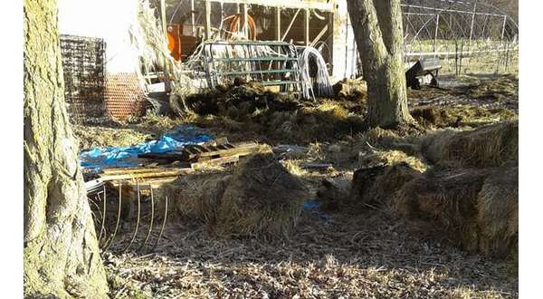 MH Berry Farm sustains damage in Wednesday fire | KTLO