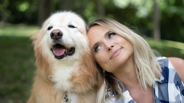 Miranda Lambert launches relief fund to help music industry pet parents ...