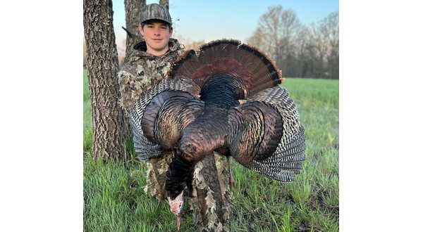 Arkansas experiences another increase in youth turkey hunt | KTLO
