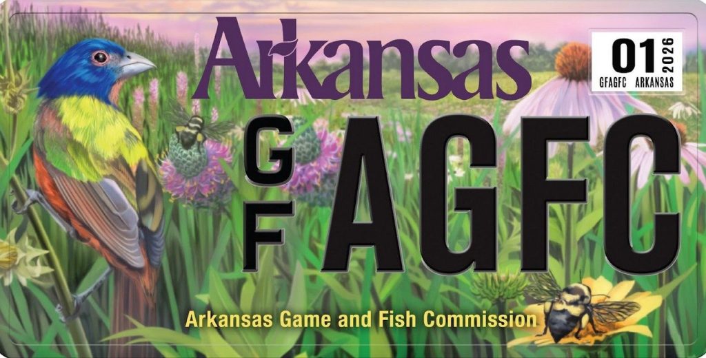 Arkansas unveils painted bunting conservation license plate | KTLO