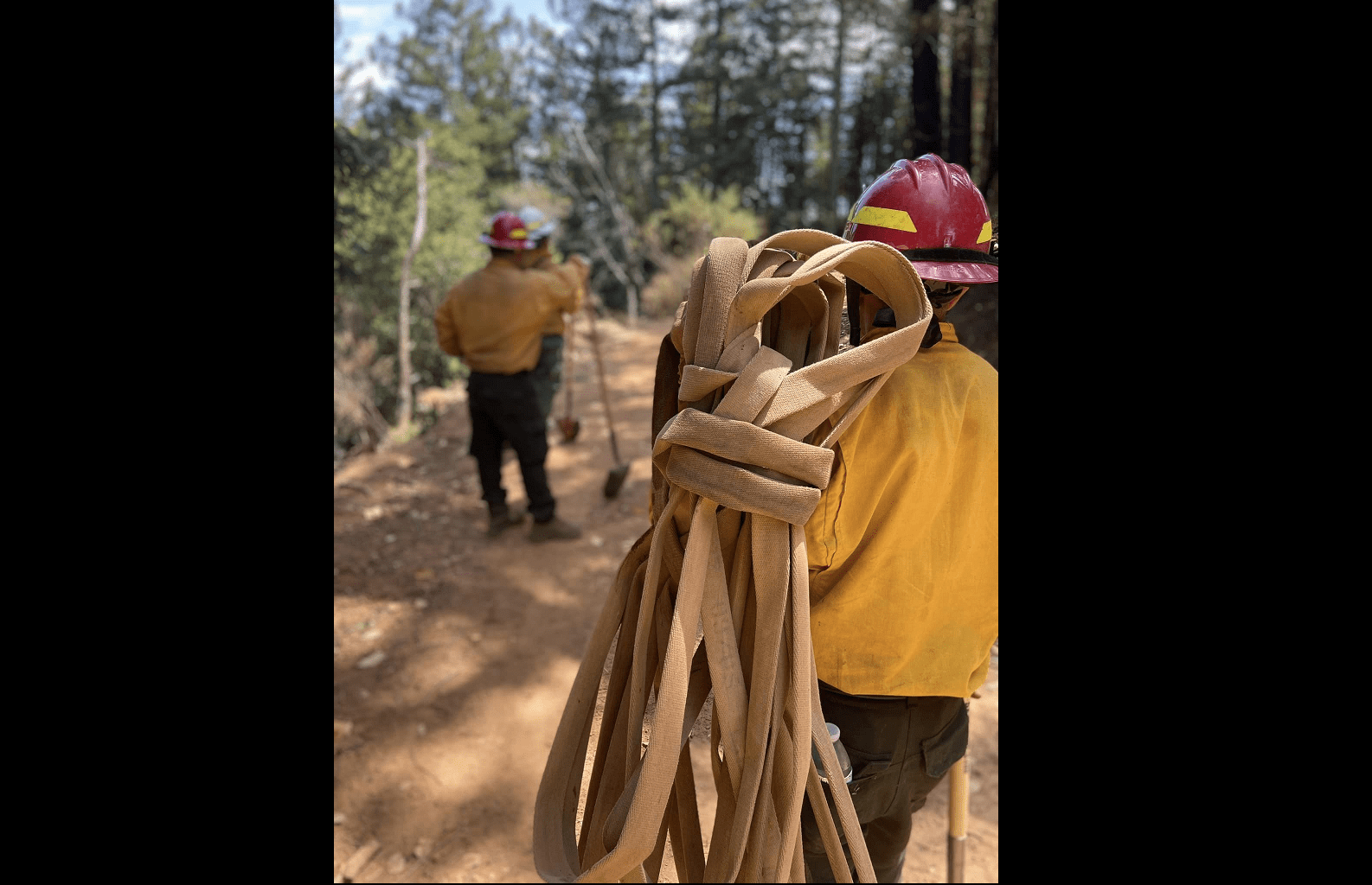 Ten Structures Destroyed in Point Fire as Containment Now at 75-Percent ...