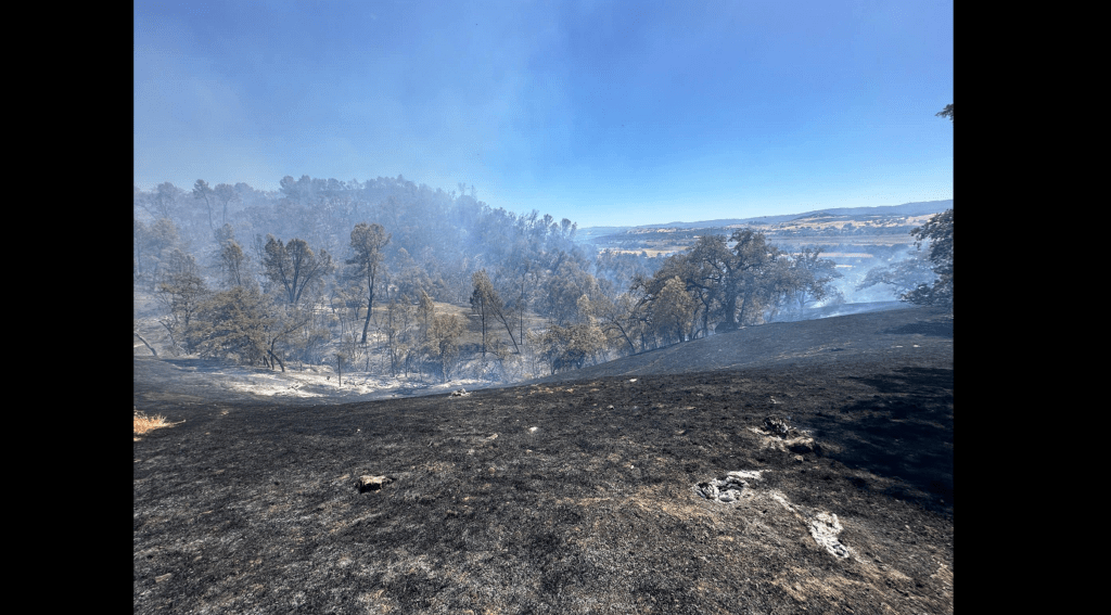 Acorn Fire North of Clear Lake Stands at 151 Acres and 20-Percent ...