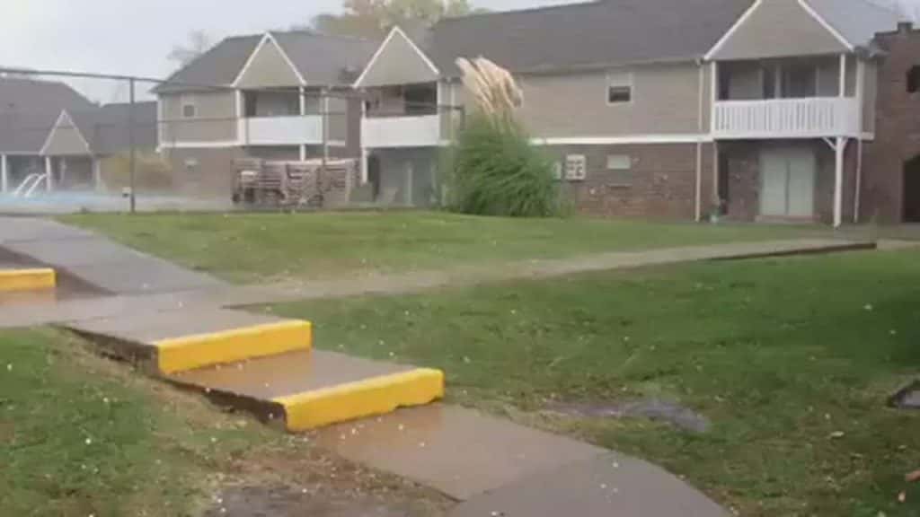 DT – Video Caption – Your Sports Edge 2021