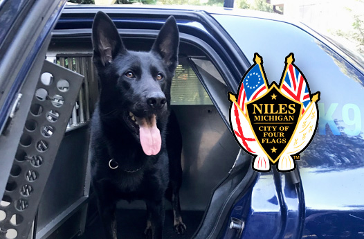 What Happened To Niles Dog