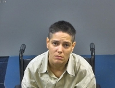 I-65 wrong way driver indicted on murder charge after killing Alvaton ...