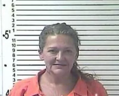Woman busted bringing drugs sewn into clothes for inmate at Grayson Co ...