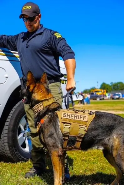 Sudden death of K9 Officer Zeus leaves Fentress family in mourning, the ...