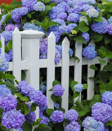 Barbara Ann Cook Douthitt, 78 | K105