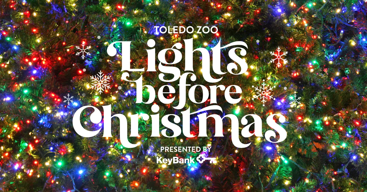 Lights Before Christmas Toledo Zoo WLEN FM Radio 103.9