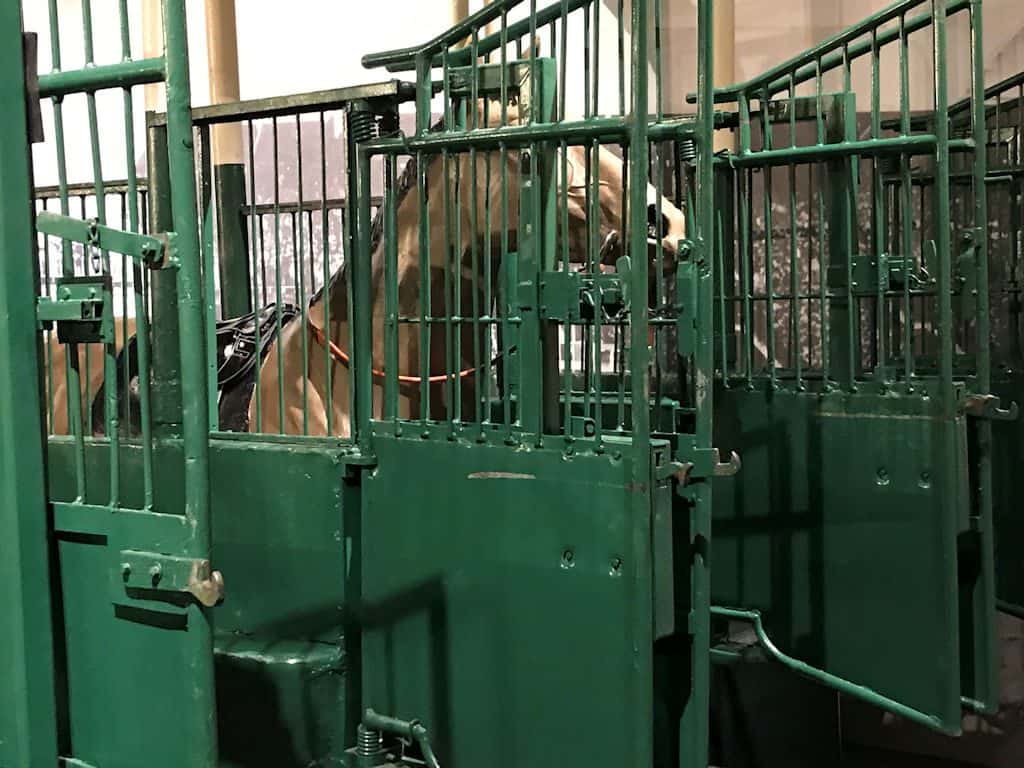 UPDATE – Kentucky Derby Postponed Until September | WKDZ Radio UPDATE – Kentucky Derby Postponed Until September | WKDZ Radio