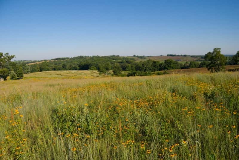 Sign-Ups Underway For Conservation Reserve Program | WKDZ Radio