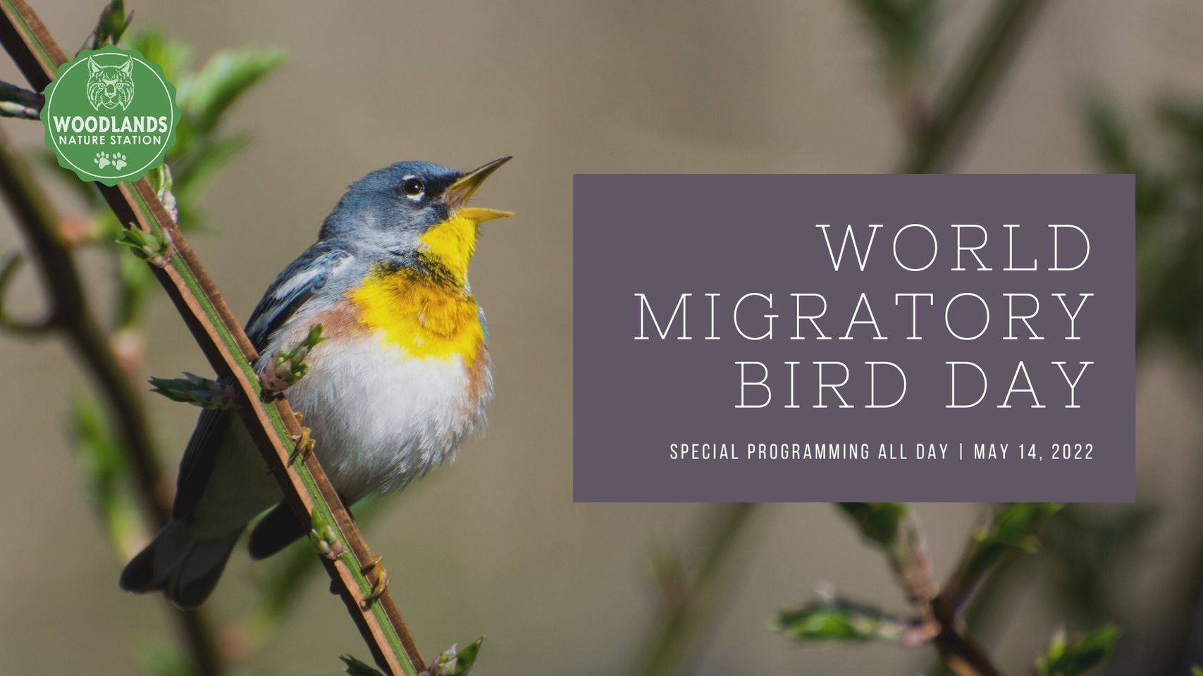 World Migratory Bird Day | WKDZ Radio
