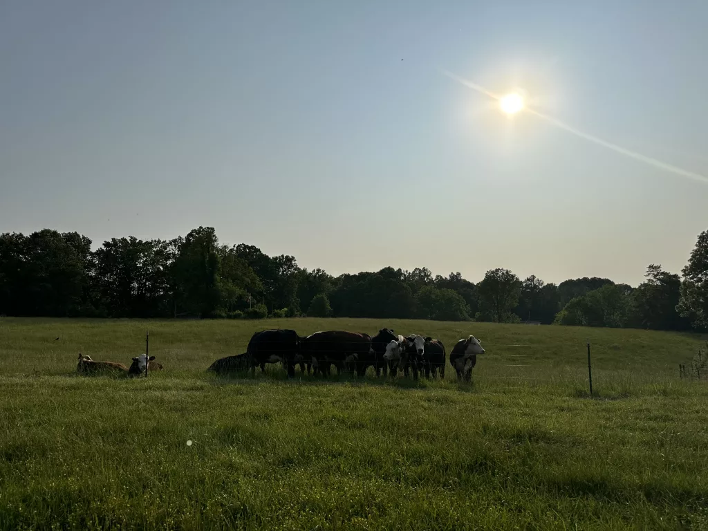 PHOTOS – 2023 West KY Forage Tour | WKDZ Radio