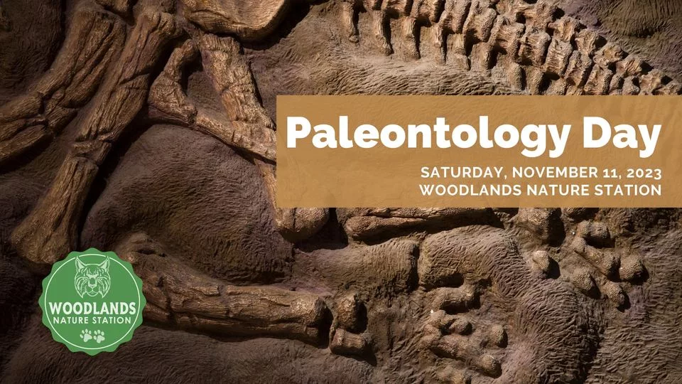 Paleontology Day Nature Station | WKDZ Radio
