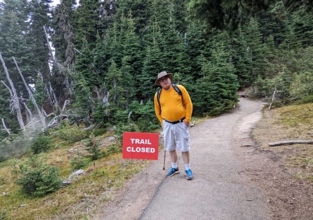 Cougar sighting closes trail at Hurricane RidgeMyClallamCounty.com ... Cougar sighting closes trail at Hurricane RidgeMyClallamCounty.com ...